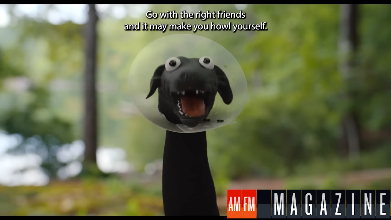 STRAYS Movie Minute Review - AMFM Magazine.tv